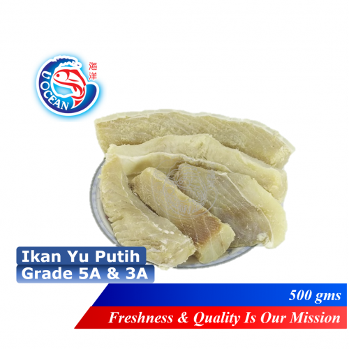 Ikan Yu Putih – Grade 5A & Grade 3A (500 gms) – U Ocean Trading