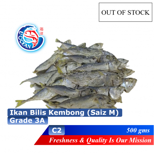 U Ocean Trading | Dried Seafood Wholesale