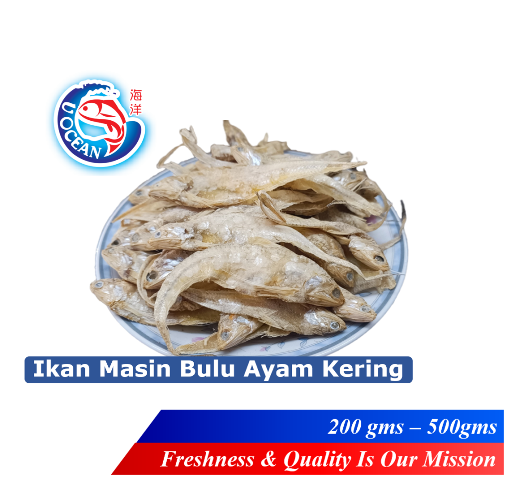 Ikan Masin Bulu Ayam Kering (Kurang Masin) (200 gms – 500 gms) – U ...